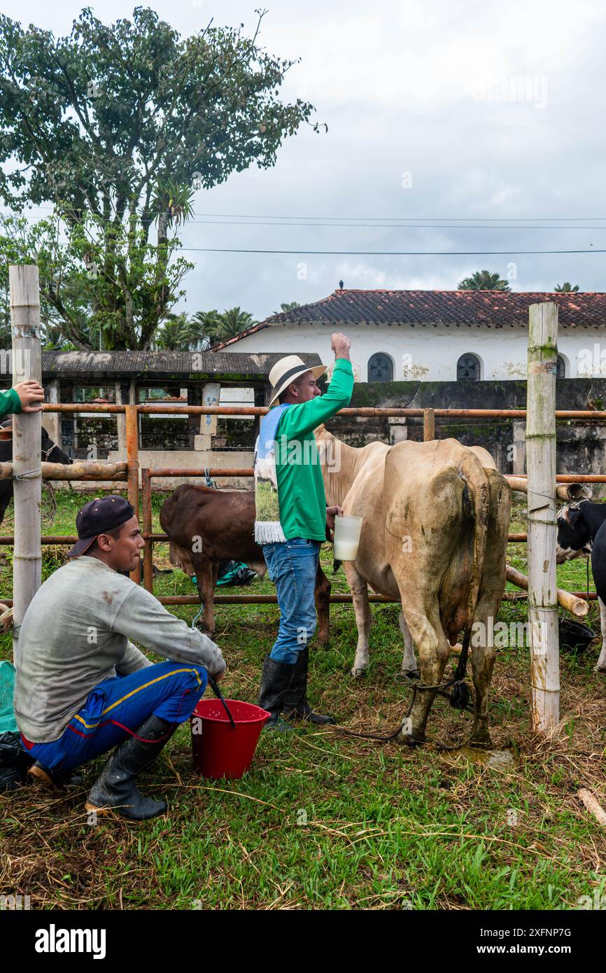Mogotes, Santander, Kolumbien, 28. Juni 2024, ein Bauer mit weißem Hut ...