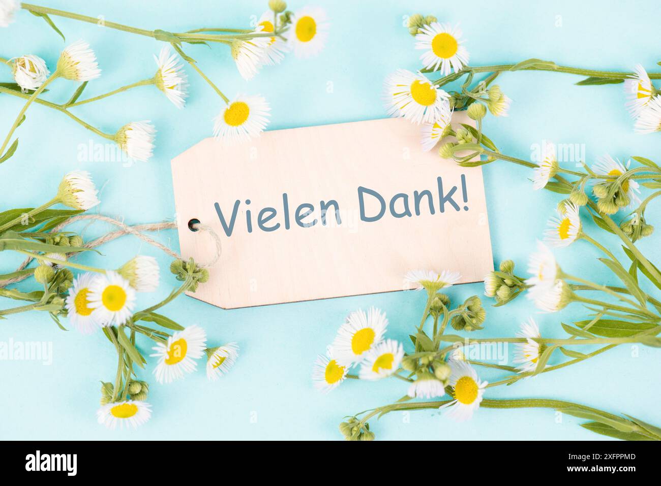 Vielen Dank in deutscher Sprache, Karte mit Blumen, Dankbarkeit, Unterstützung, Hilfe und ...