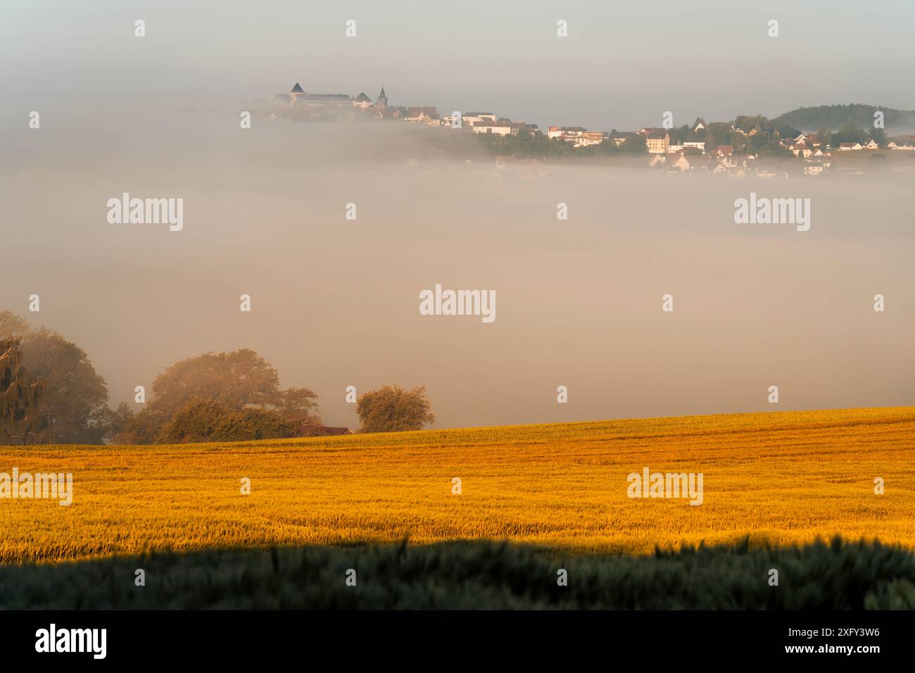 Schloss Waldeck blickt aus dem Morgennebel, im Vordergrund der Netzteil ...