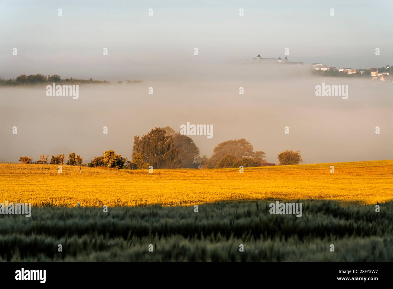 Schloss Waldeck blickt aus dem Morgennebel, im Vordergrund der Netzteil ...
