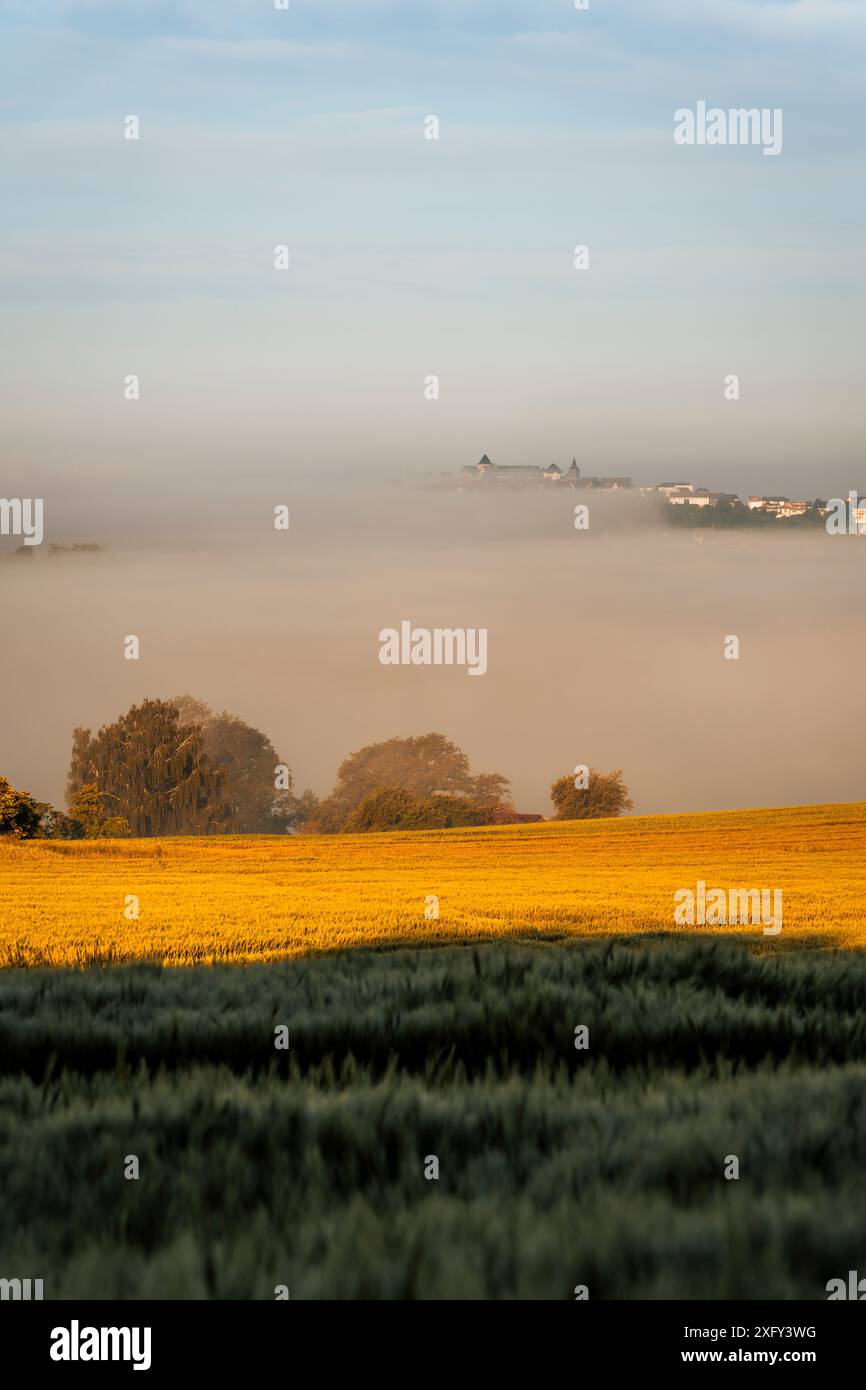 Schloss Waldeck blickt aus dem Morgennebel, im Vordergrund der Netzteil ...