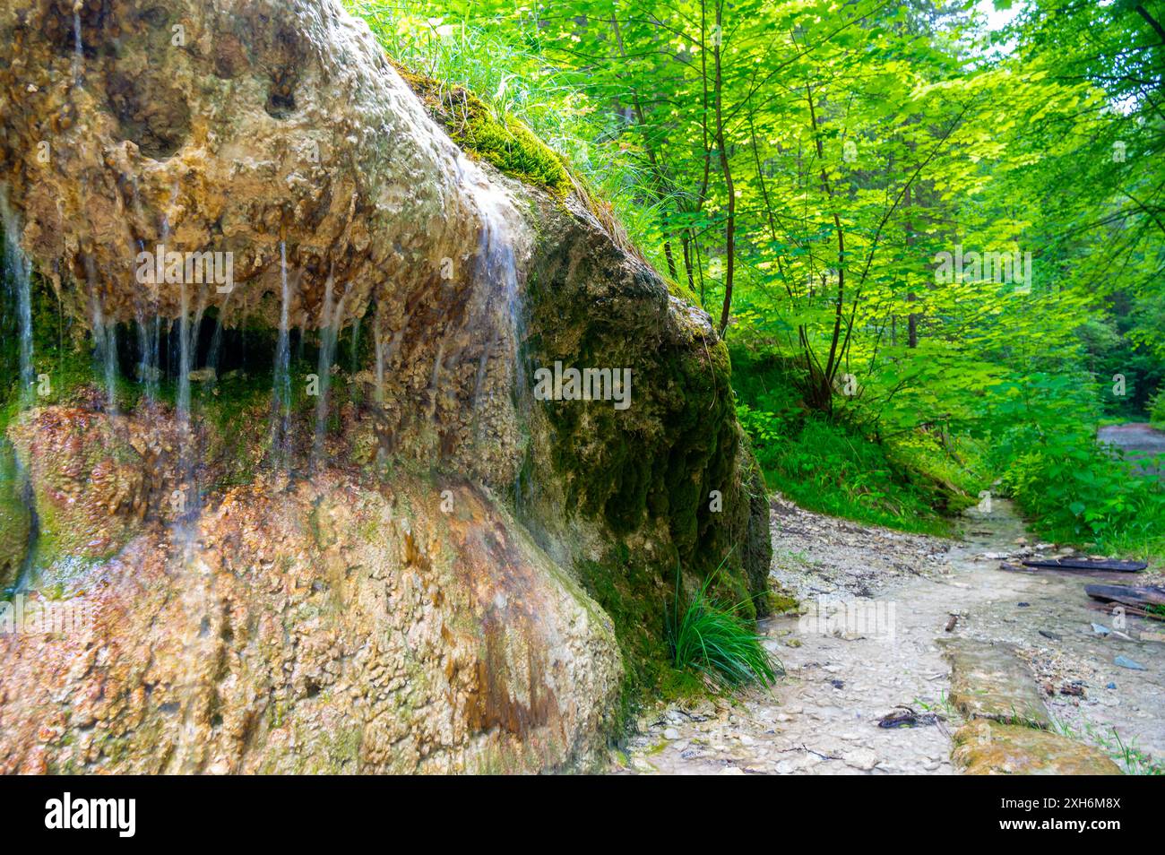 Frantisek mergl -Fotos und -Bildmaterial in hoher Auflösung – Alamy