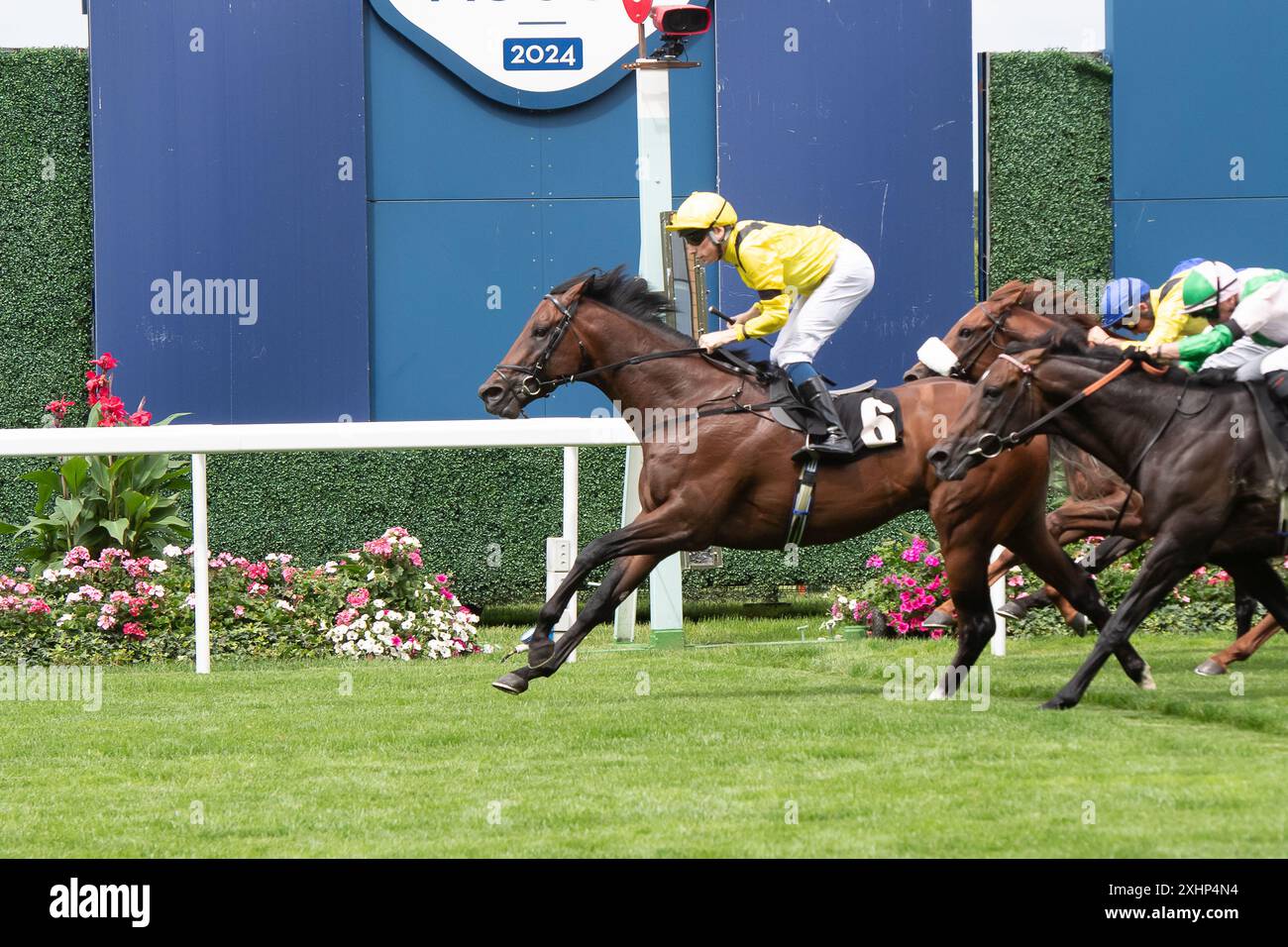 Ascot, Berkshire, Großbritannien. Juli 2024. Pferd Quddwah (Nr. 6 ...