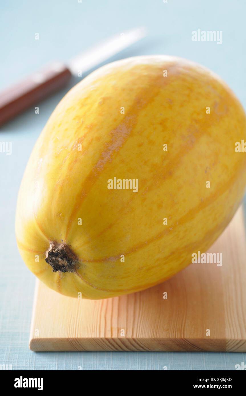 Spaghetti marrow -Fotos und -Bildmaterial in hoher Auflösung – Alamy