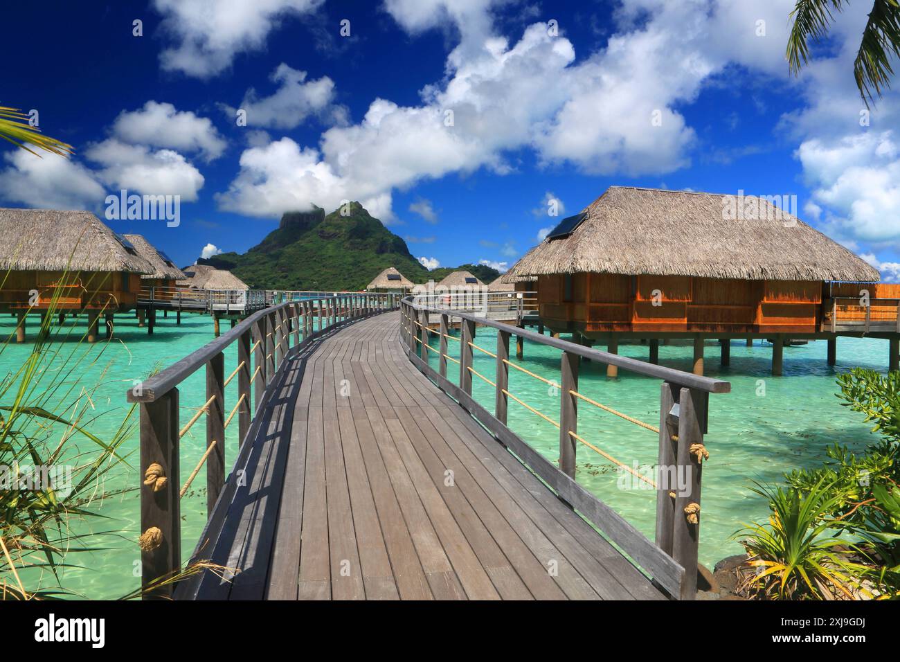 Bora bora overwater bungalows palmen -Fotos und -Bildmaterial in hoher ...