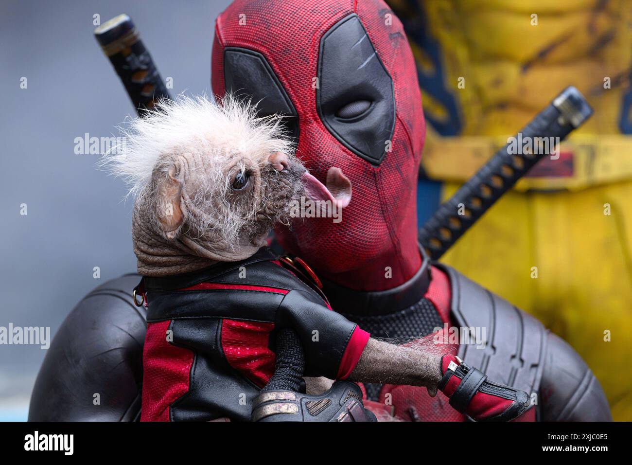 DEADPOOL & WOLVERINE (auch bekannt als DEADPOOL UND WOLVERINE, auch ...