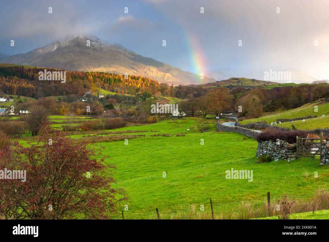 Blick vom Torver in Richtung der Old Man of Coniston, Torver ...