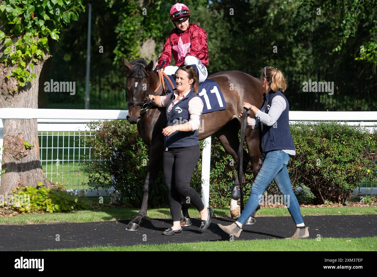 Sponsor clare hobson racing -Fotos und -Bildmaterial in hoher Auflösung ...