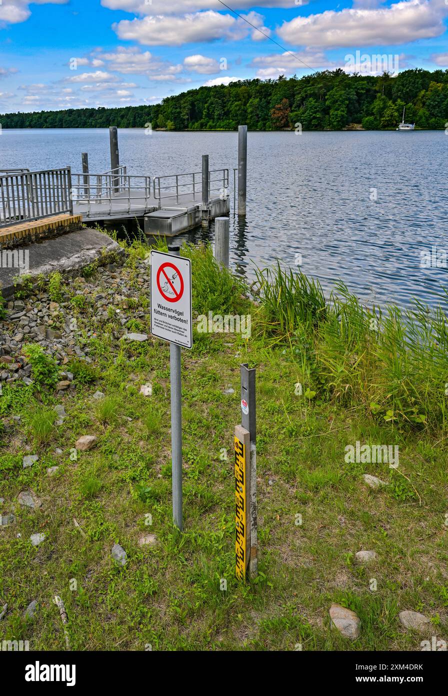 Strausberg, Deutschland. Juli 2024. Eine Wasserstandsanzeige am ...