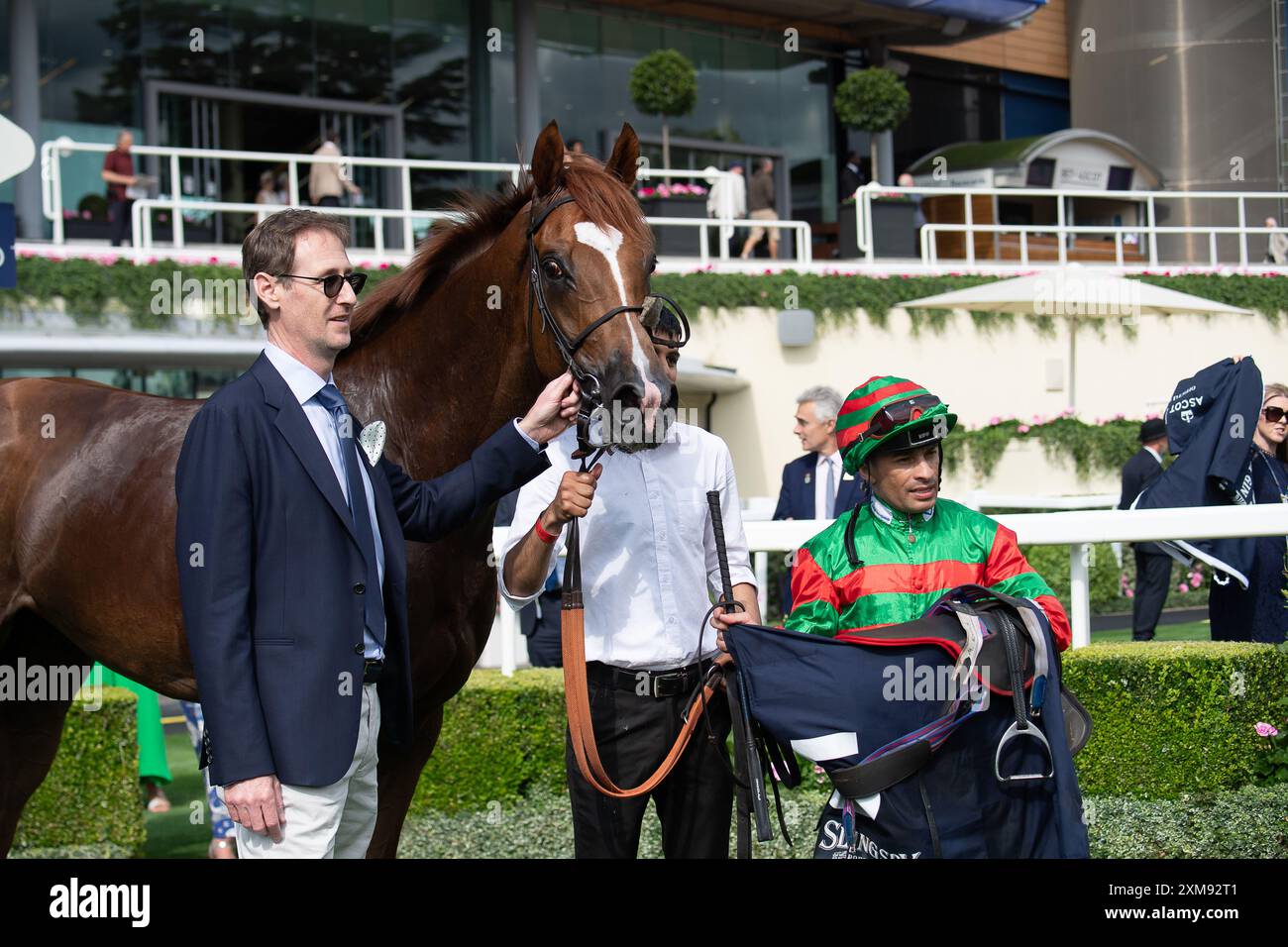 Züchter castlehyde stud -Fotos und -Bildmaterial in hoher Auflösung – Alamy