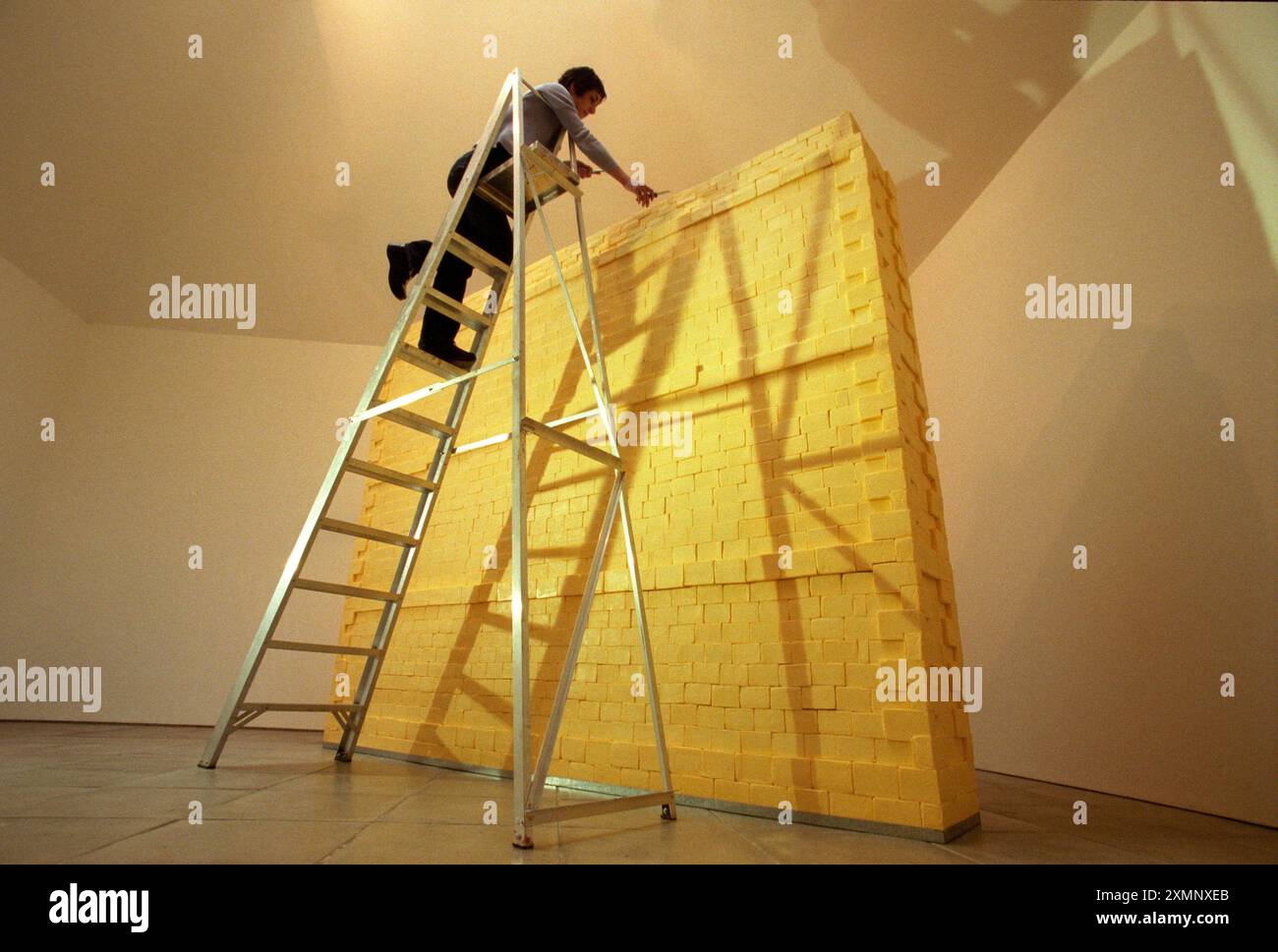 Butter Wall SculptureCrazy Lotterie finanziertes Kunstprojekt einer ...