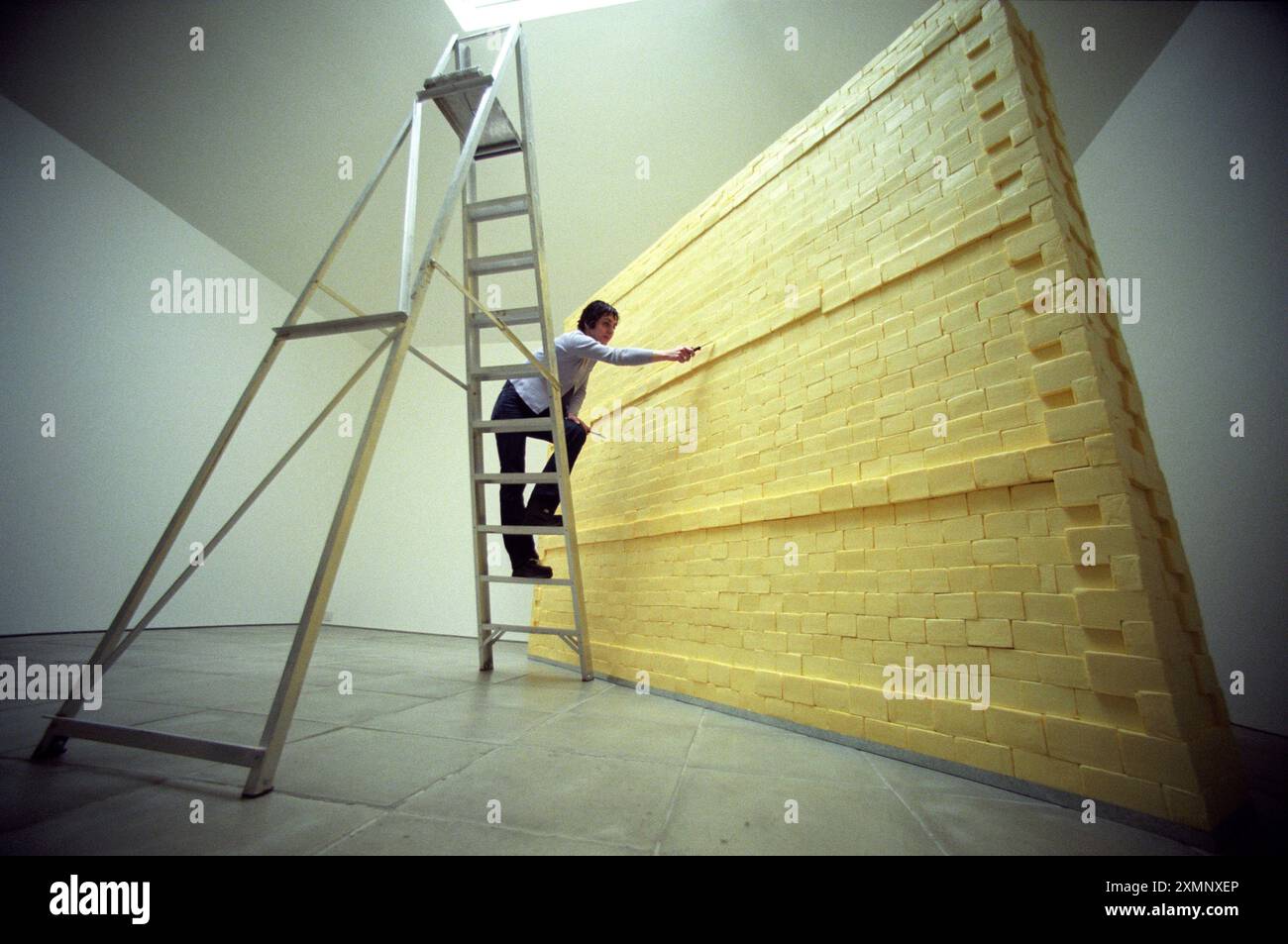 Butter Wall SculptureCrazy Lotterie finanziertes Kunstprojekt einer ...