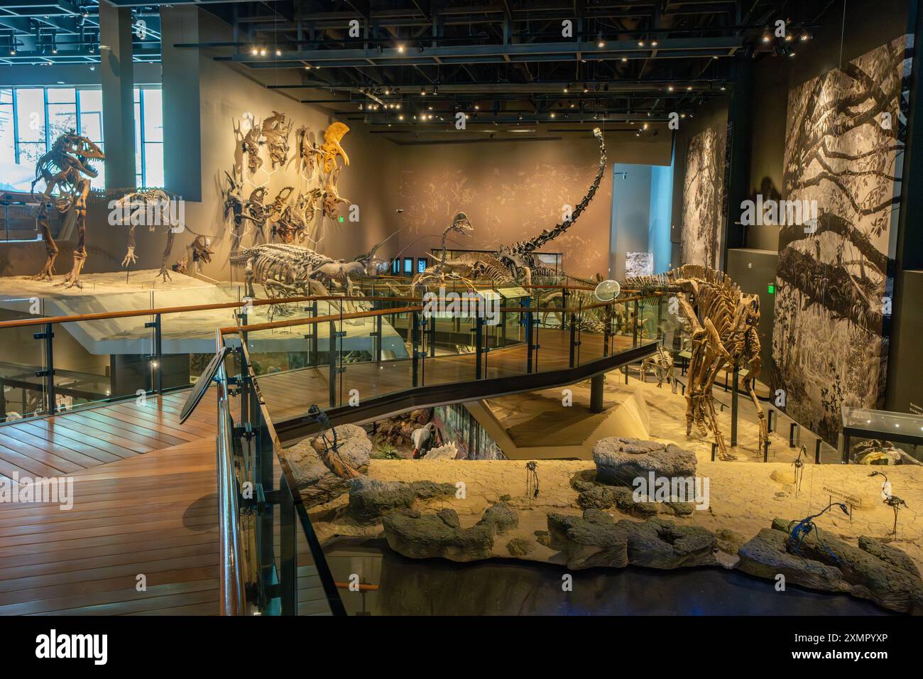 Dioramen der tierwelt -Fotos und -Bildmaterial in hoher Auflösung – Alamy