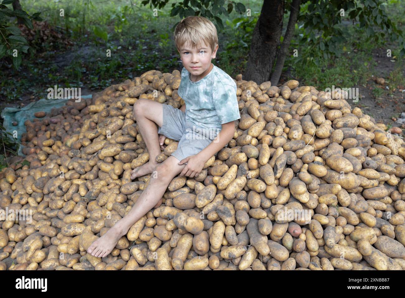 Barfußjunge in Shorts sitzt auf einem Haufen von vielen frisch ...