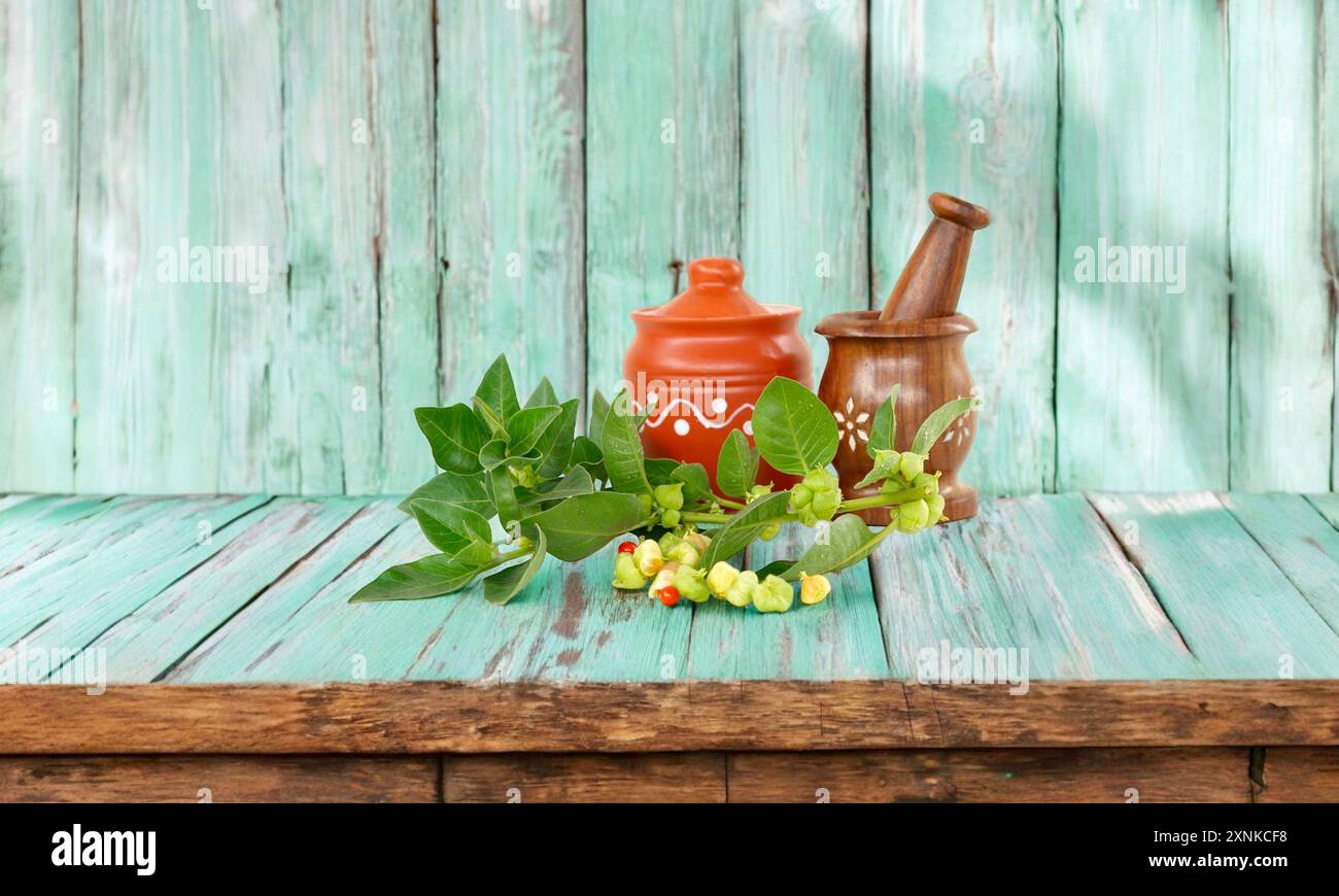 Ayurveda medizin -Fotos und -Bildmaterial in hoher Auflösung – Alamy