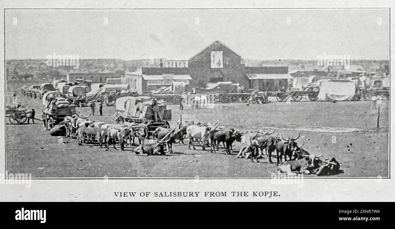 BLICK AUF SALISBURY VOM KOPJE. Aus dem Artikel DIE KAP-NACH-KAIRO ...
