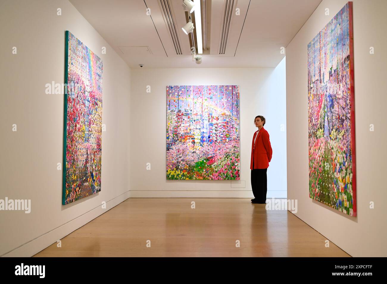 Damien Hirsts neueste Serie , The Civilisation Paintings , wird diesen ...