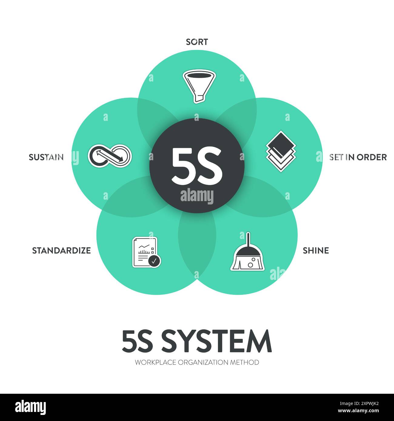 5s System Methodik Strategie Infografik Diagramm Diagramm Banner ...