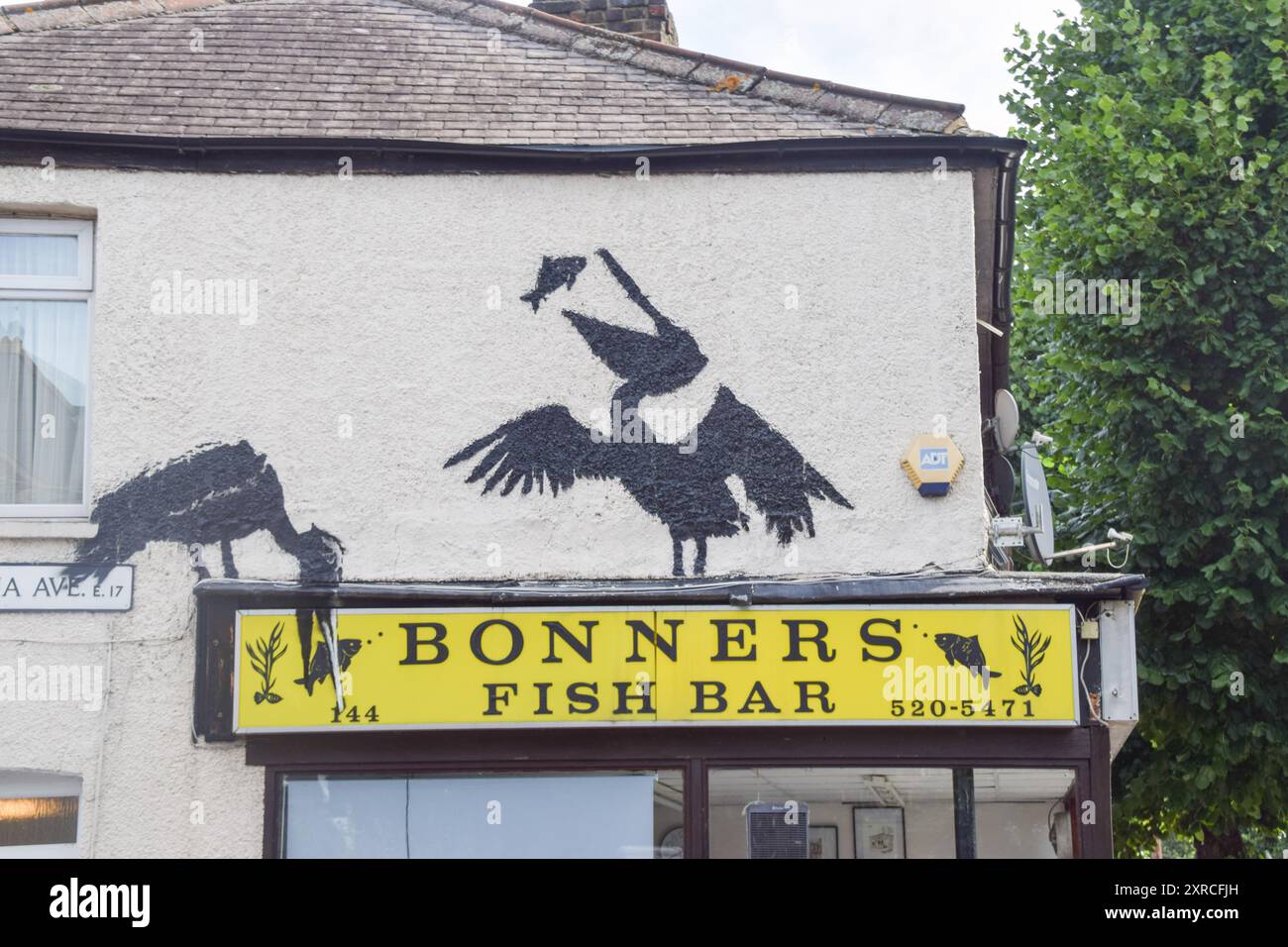 Walthamstow pelikane -Fotos und -Bildmaterial in hoher Auflösung – Alamy