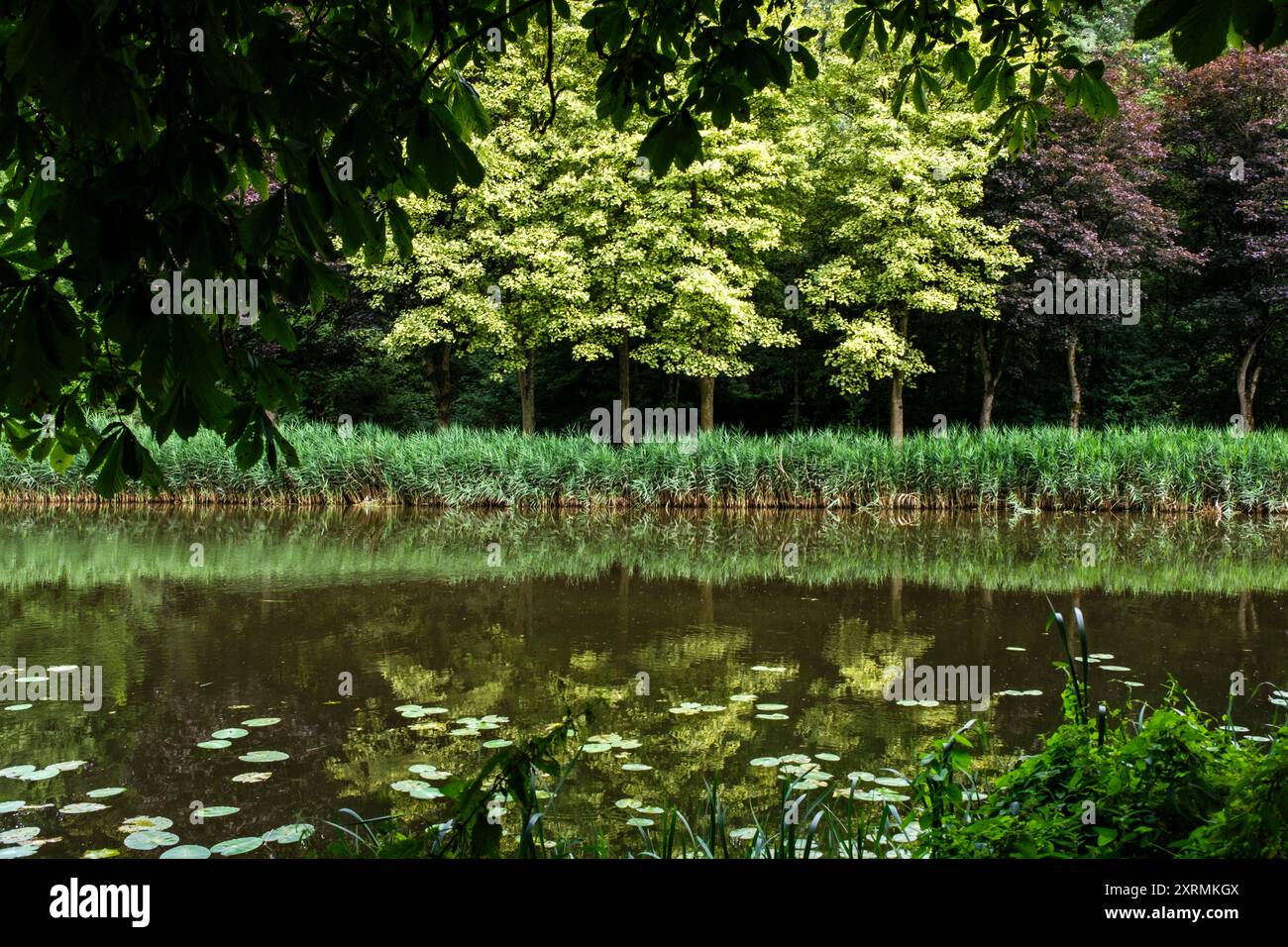 L'entité de Seneffe besitzt un patrimoine hydraulique très wichtig : L ...