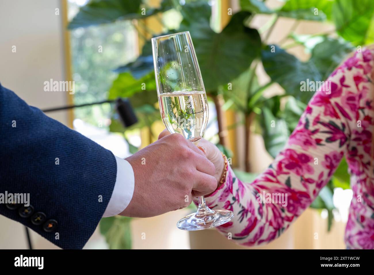Sektgläser anstoßen -Fotos und -Bildmaterial in hoher Auflösung – Alamy