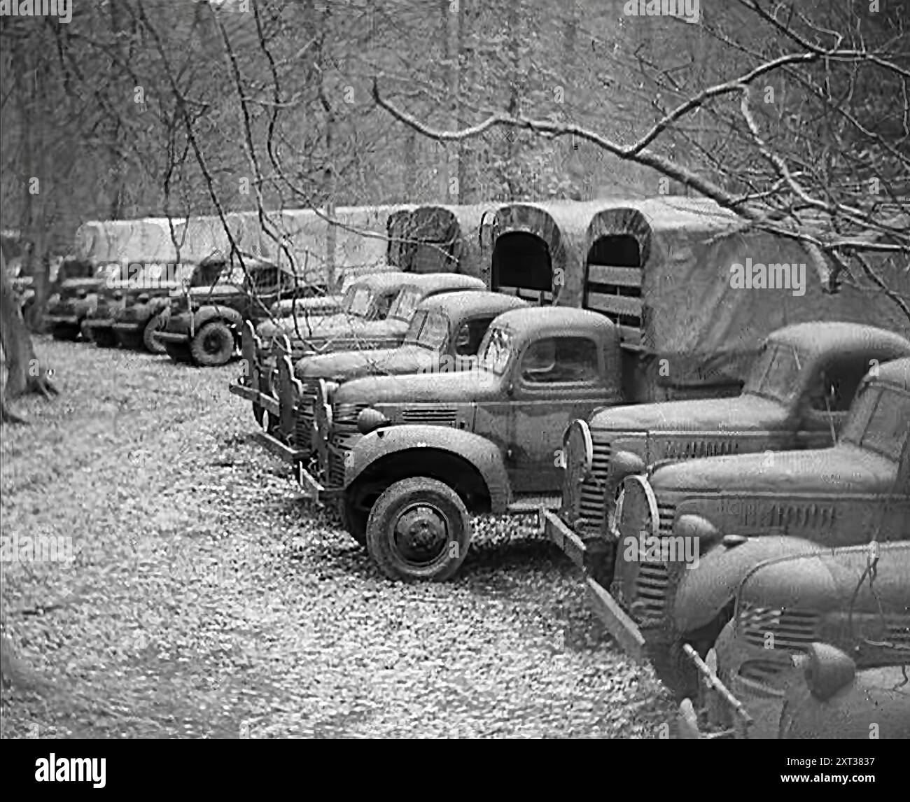 Amerikanische Militärfahrzeuge standen in den Woods bereit für die ...