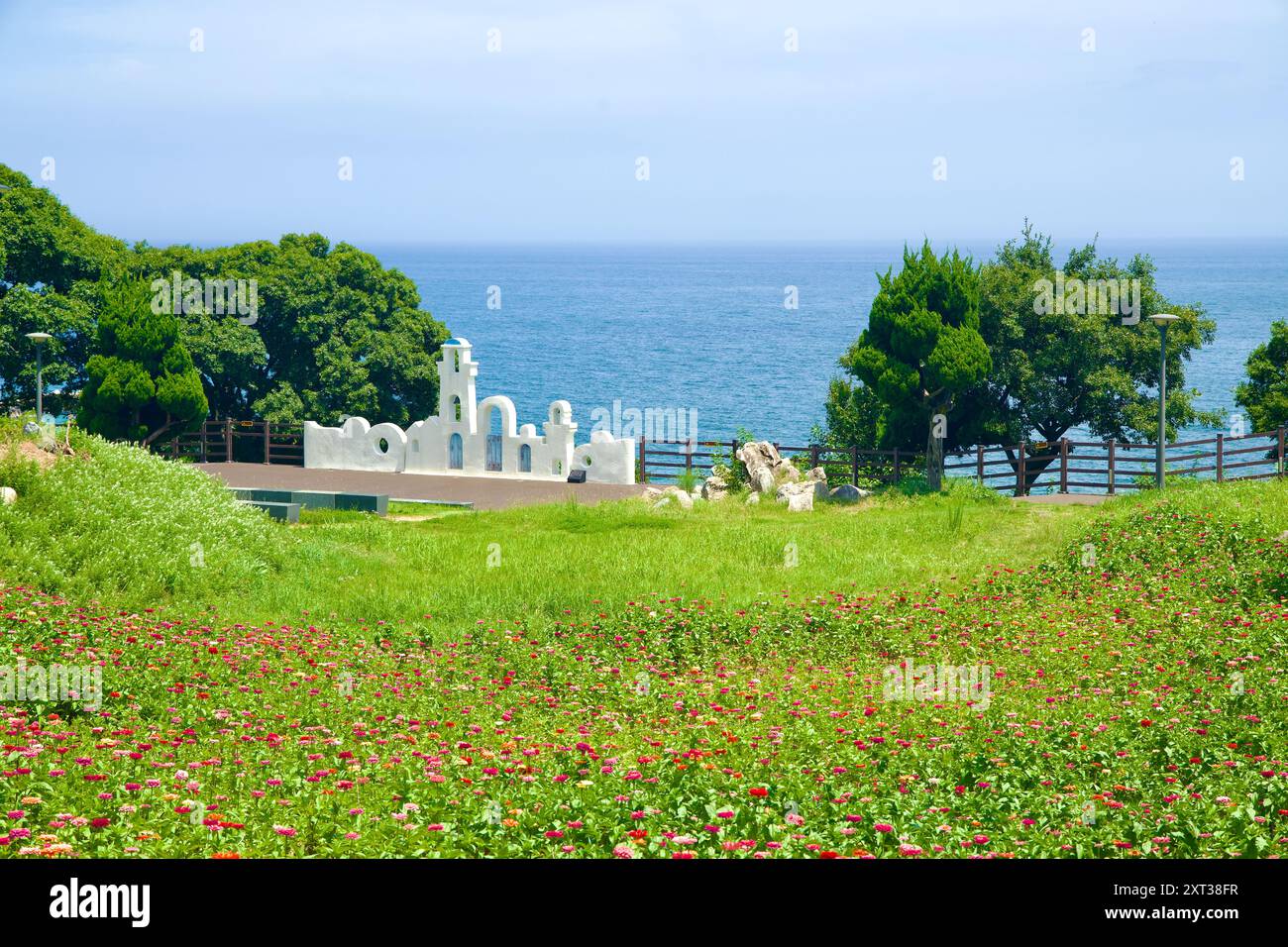 Uljin County, Südkorea - 27. Juli 2024: Eine lebendige Blumenwiese im ...
