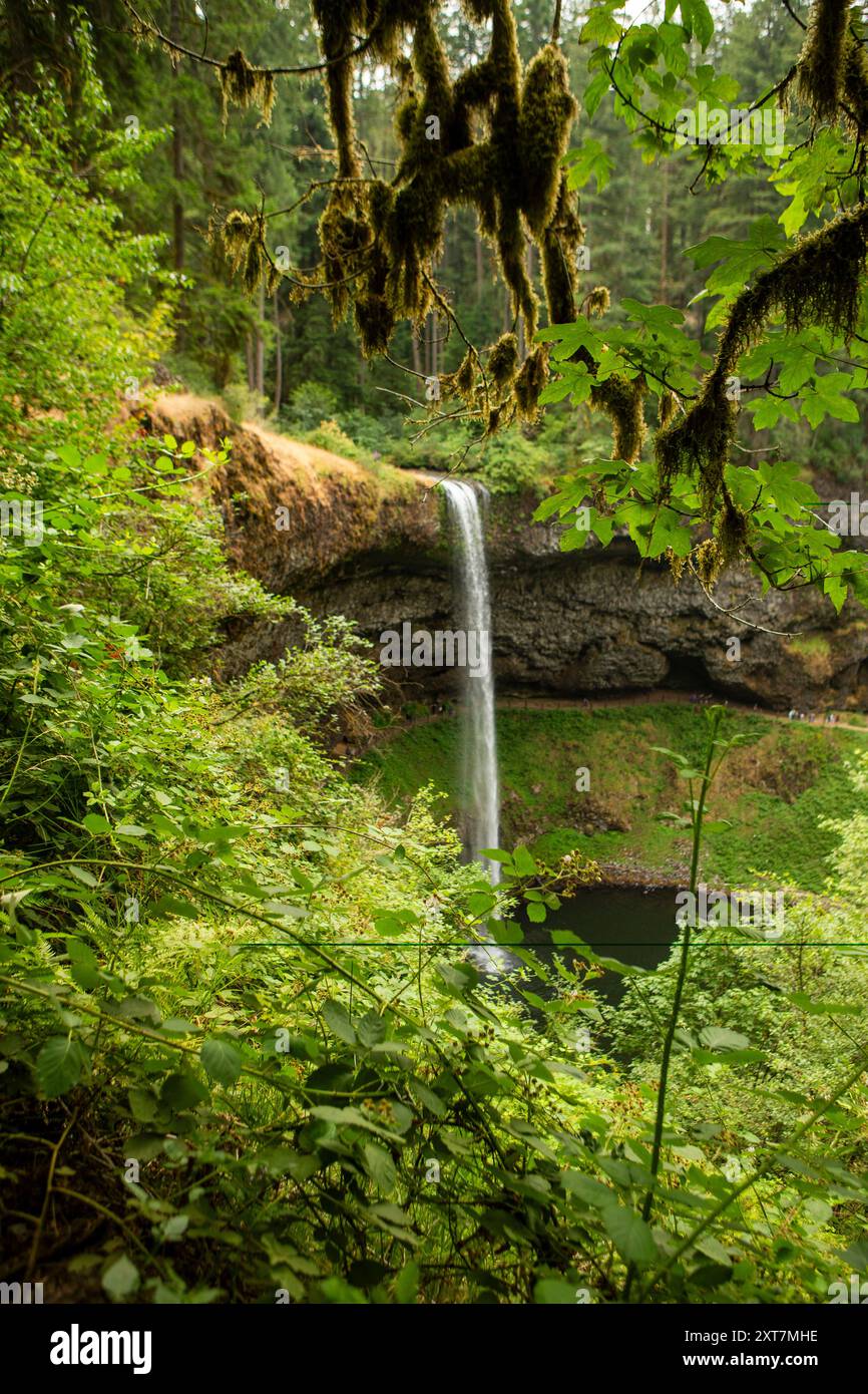Marion County, CA, USA. Juli 2024. South Falls ist ein Wasserfall im ...