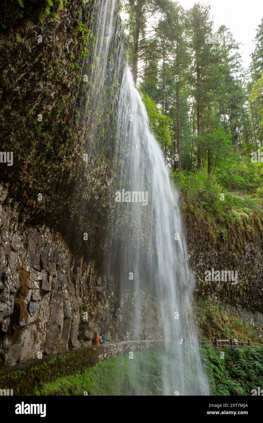 Marion County, CA, USA. Juli 2024. South Falls ist ein Wasserfall im ...