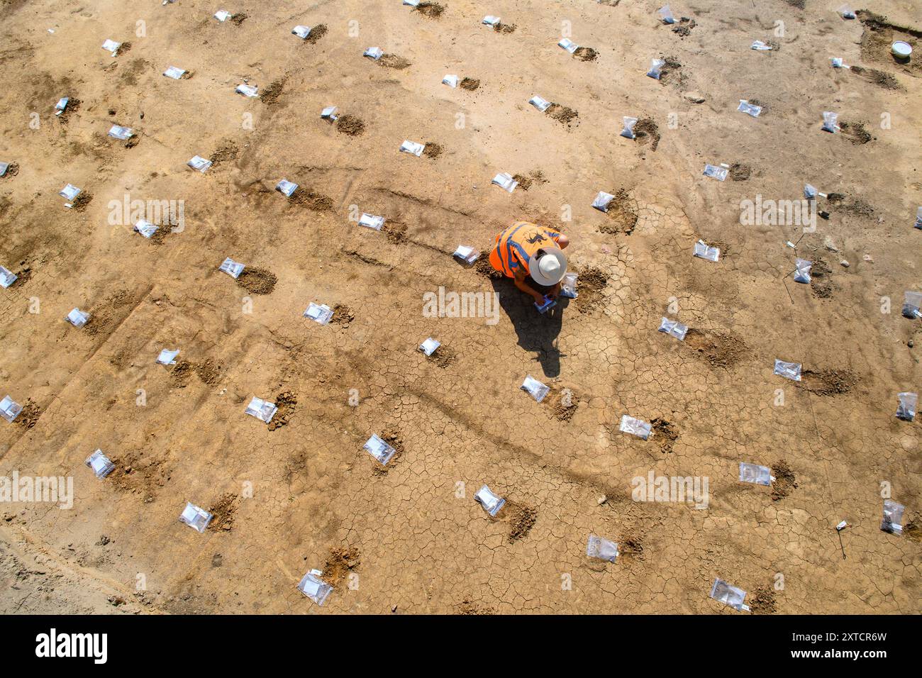 14. August 2024, Sachsen-Anhalt, Belkau: Ein Archäologe des Landesamtes ...