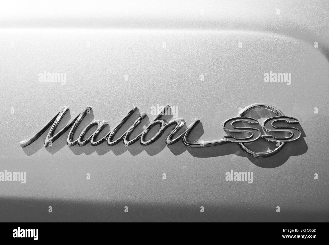 Ss emblem -Fotos und -Bildmaterial in hoher Auflösung – Alamy