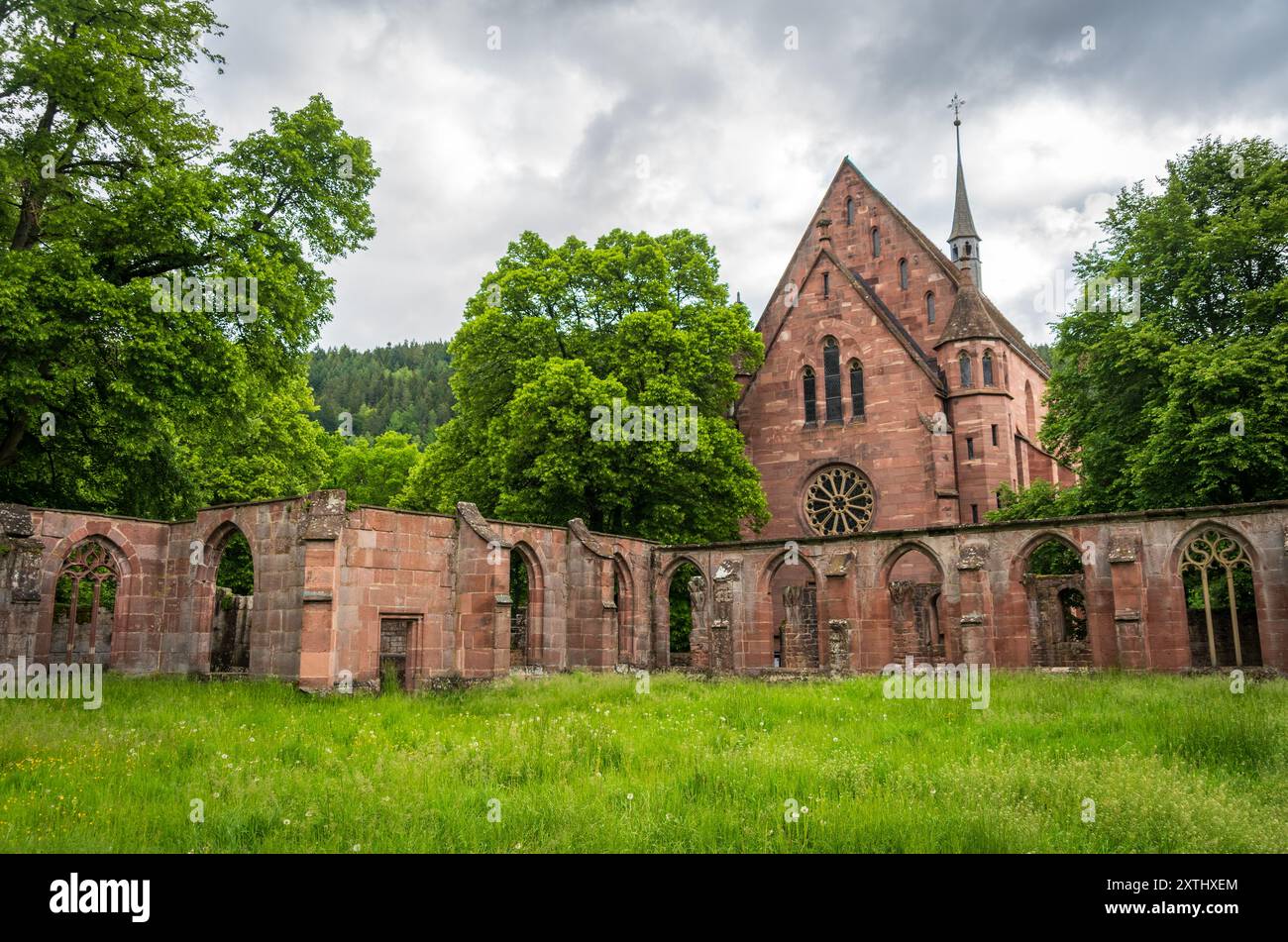 Das Kloster Hirsau, ehemals Kloster Hirschau im Schwarzwald ...