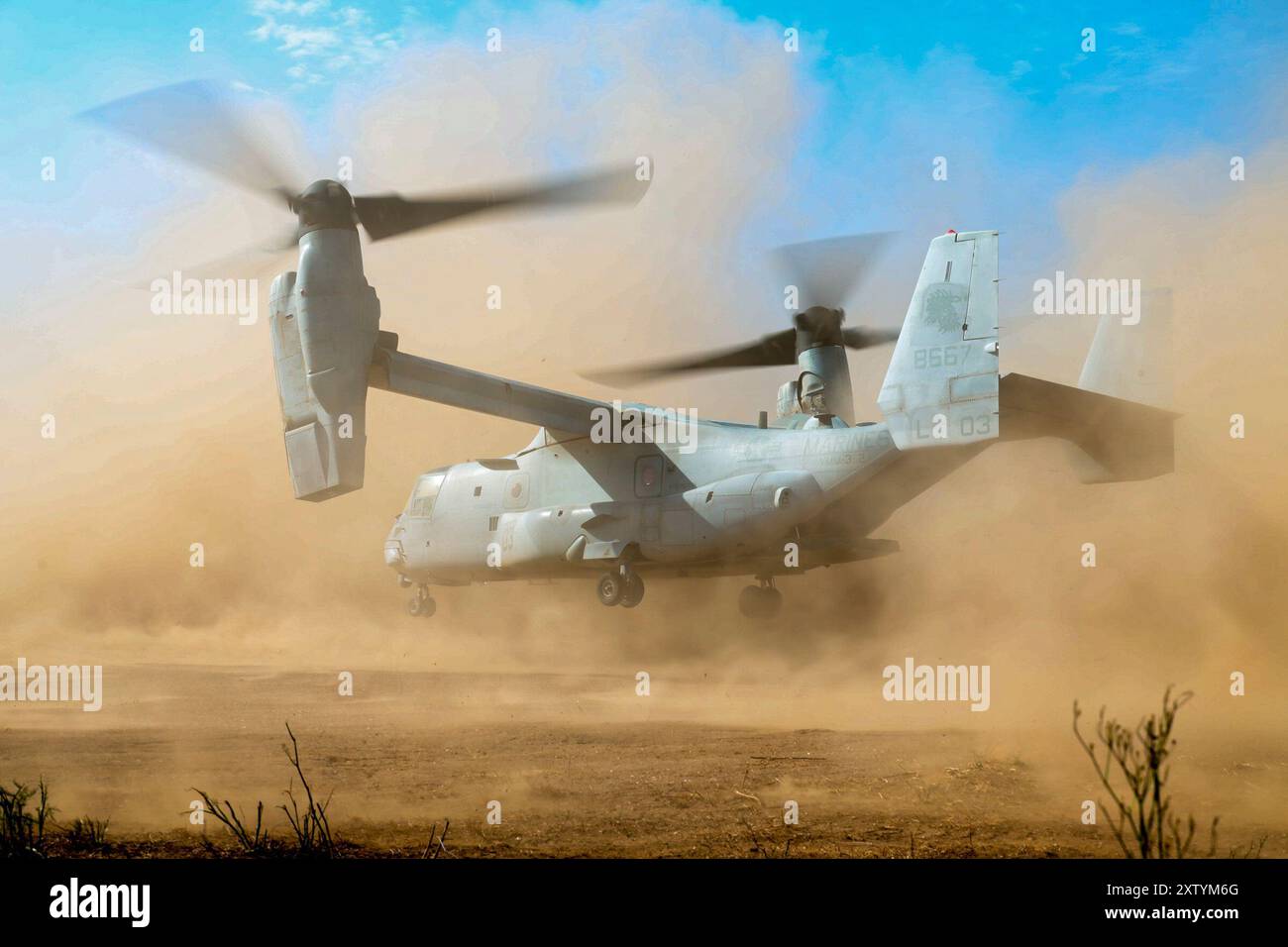 Ein U.S. Marine Corps MV-22 Osprey Tiltrotor Flugzeug, das der Marine Medium Tiltrotor Squadron ...