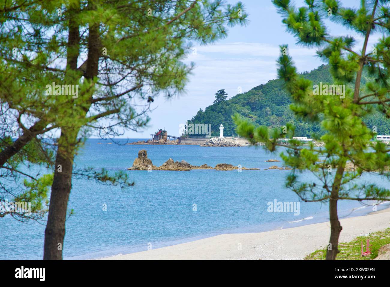 Samcheok, Südkorea - 29. Juli 2024: Ein Fernblick auf den von Kiefern ...