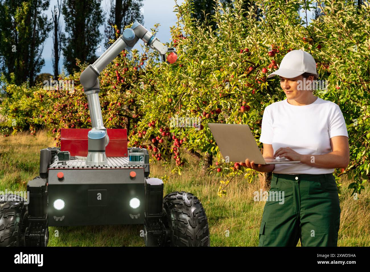 Der Landwirt steuert autonome Roboterroboter mit Roboterarm, der Äpfel ...