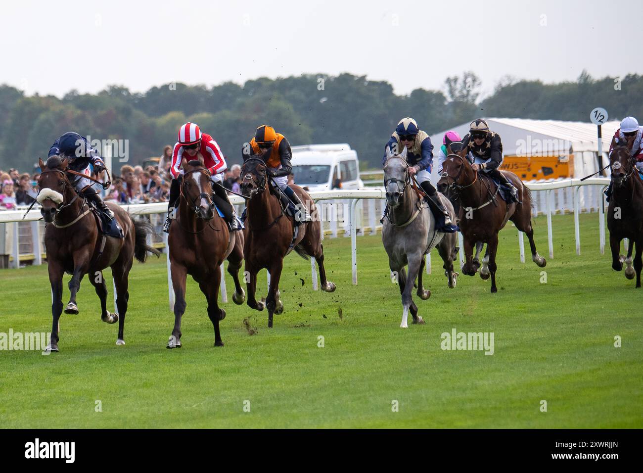 Windsor, Berkshire, Großbritannien. August 2024. BRAVE CALL, geritten ...