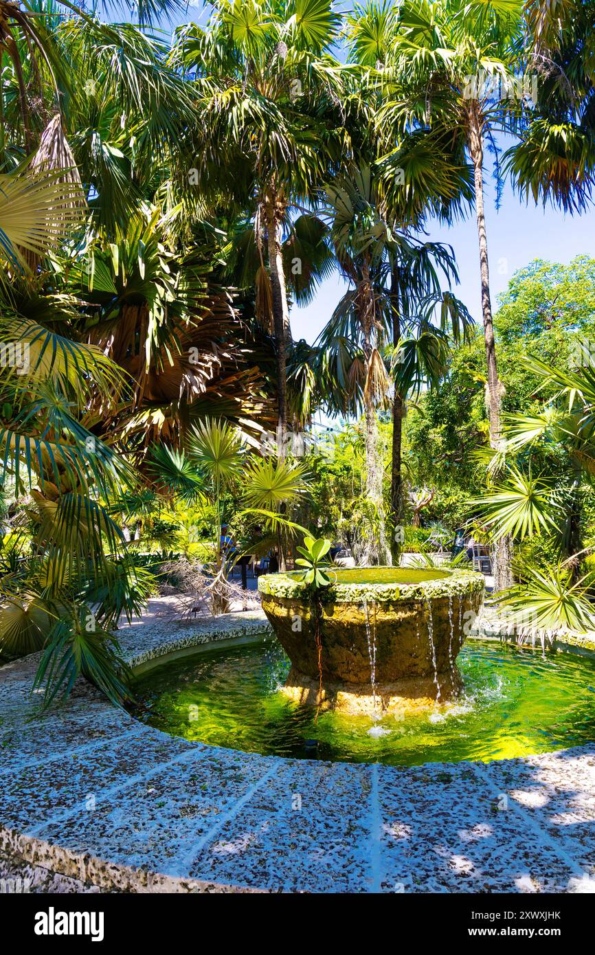 Botanical beach park -Fotos und -Bildmaterial in hoher Auflösung – Alamy