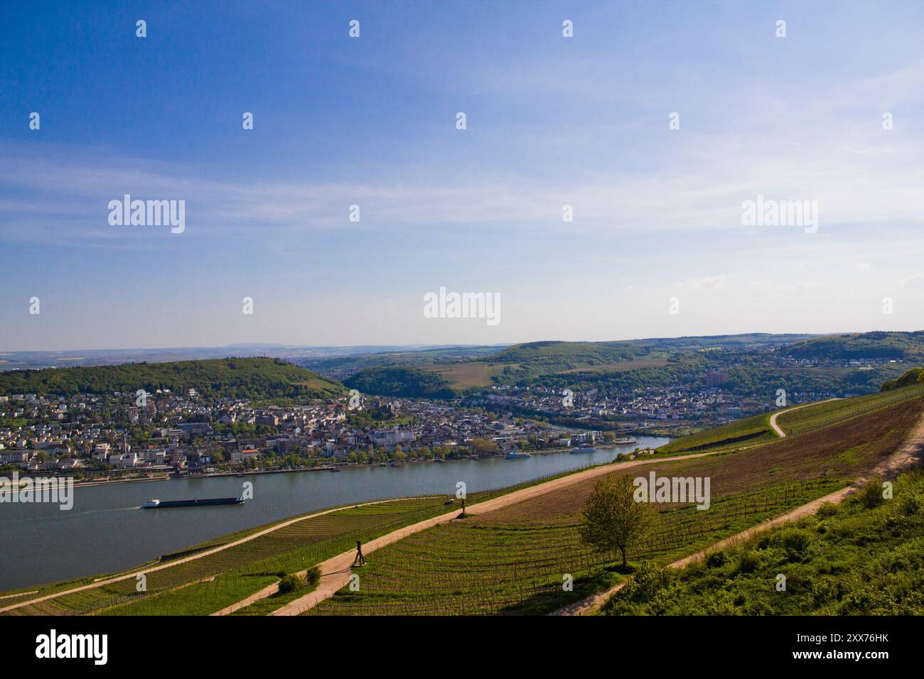 öffentlicher park am weinberg -Fotos und -Bildmaterial in hoher ...