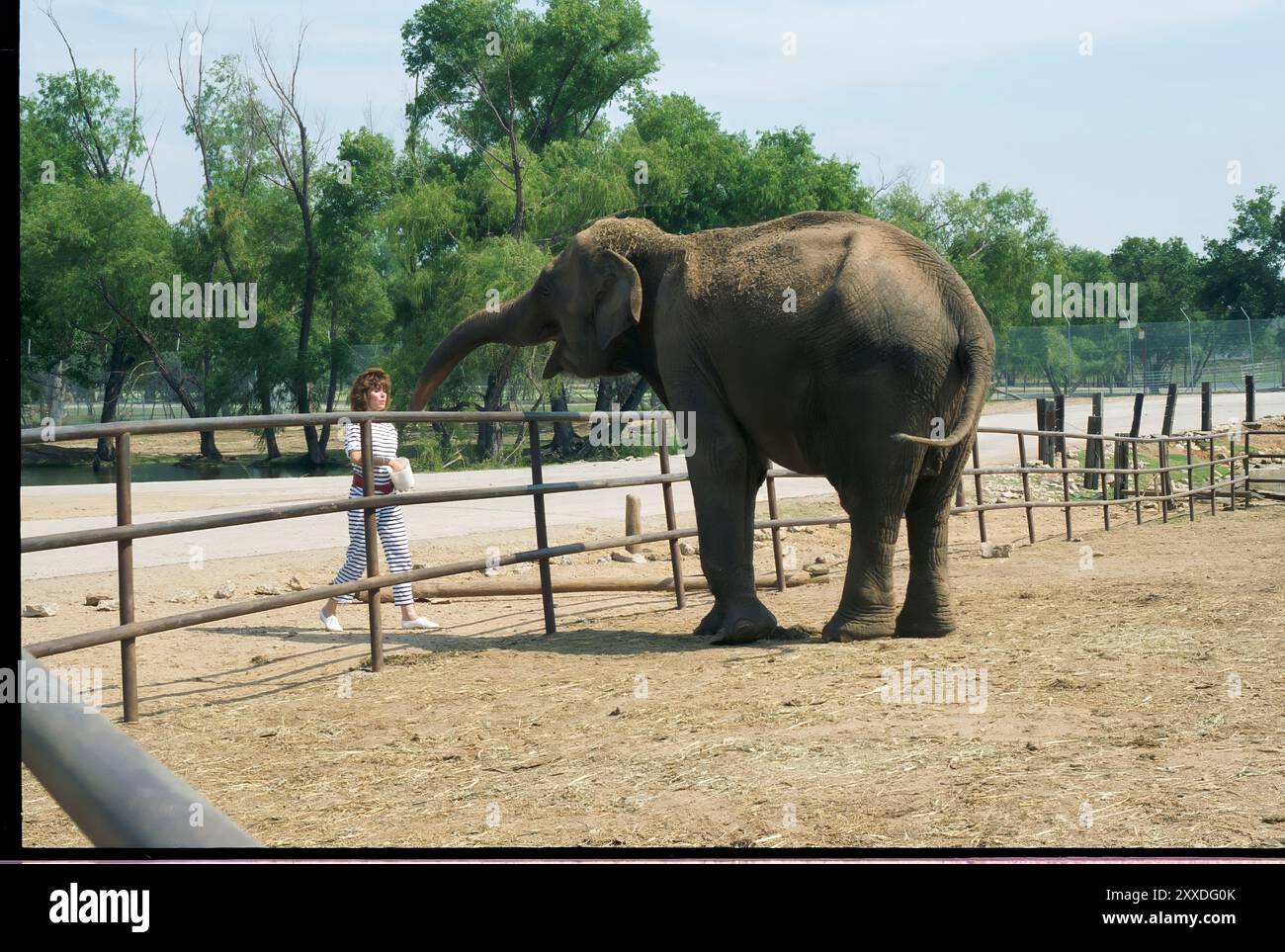 Horn stefanie -Fotos und -Bildmaterial in hoher Auflösung – Alamy