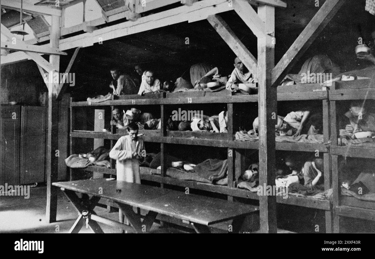 Gaunt-Überlebende liegen in ihren Kojen im KZ Buchenwald. Buchenwald ...
