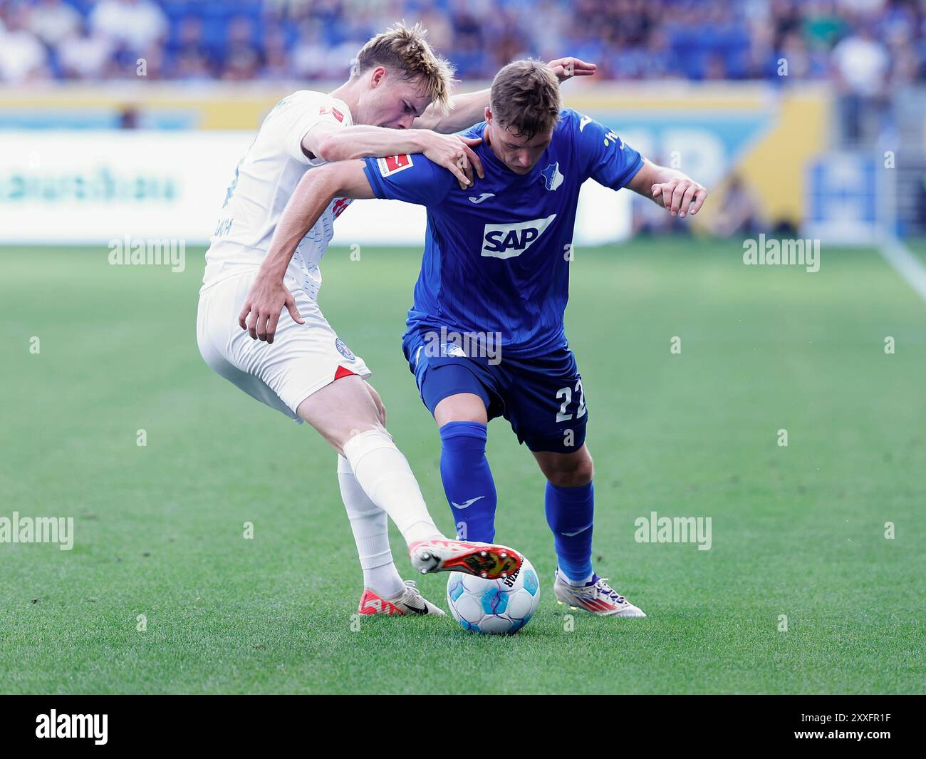 Sinsheim, Deutschland. August 2024. Fußball, Bundesliga 1, TSG 1899 ...