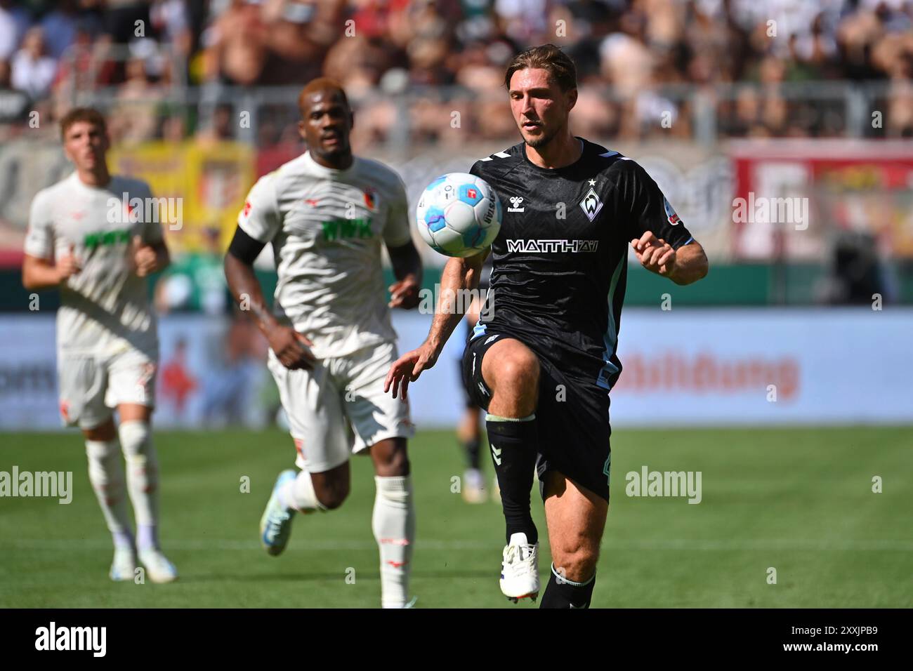 Saison 2024 2025 wwk arena -Fotos und -Bildmaterial in hoher Auflösung ...