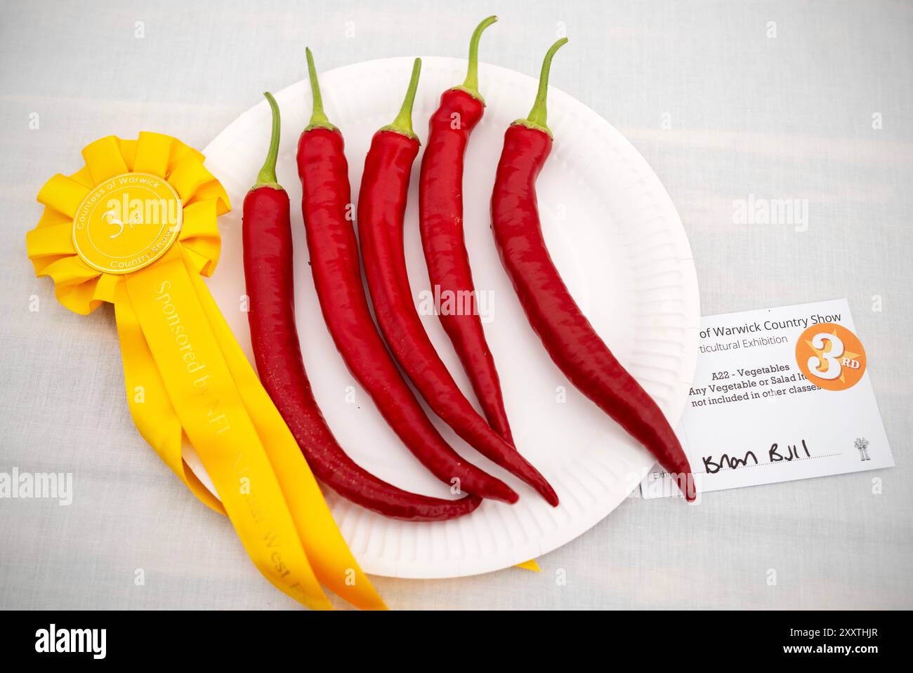 Countess of Warwick Country Show in Little Easton, Essex 26. August ...