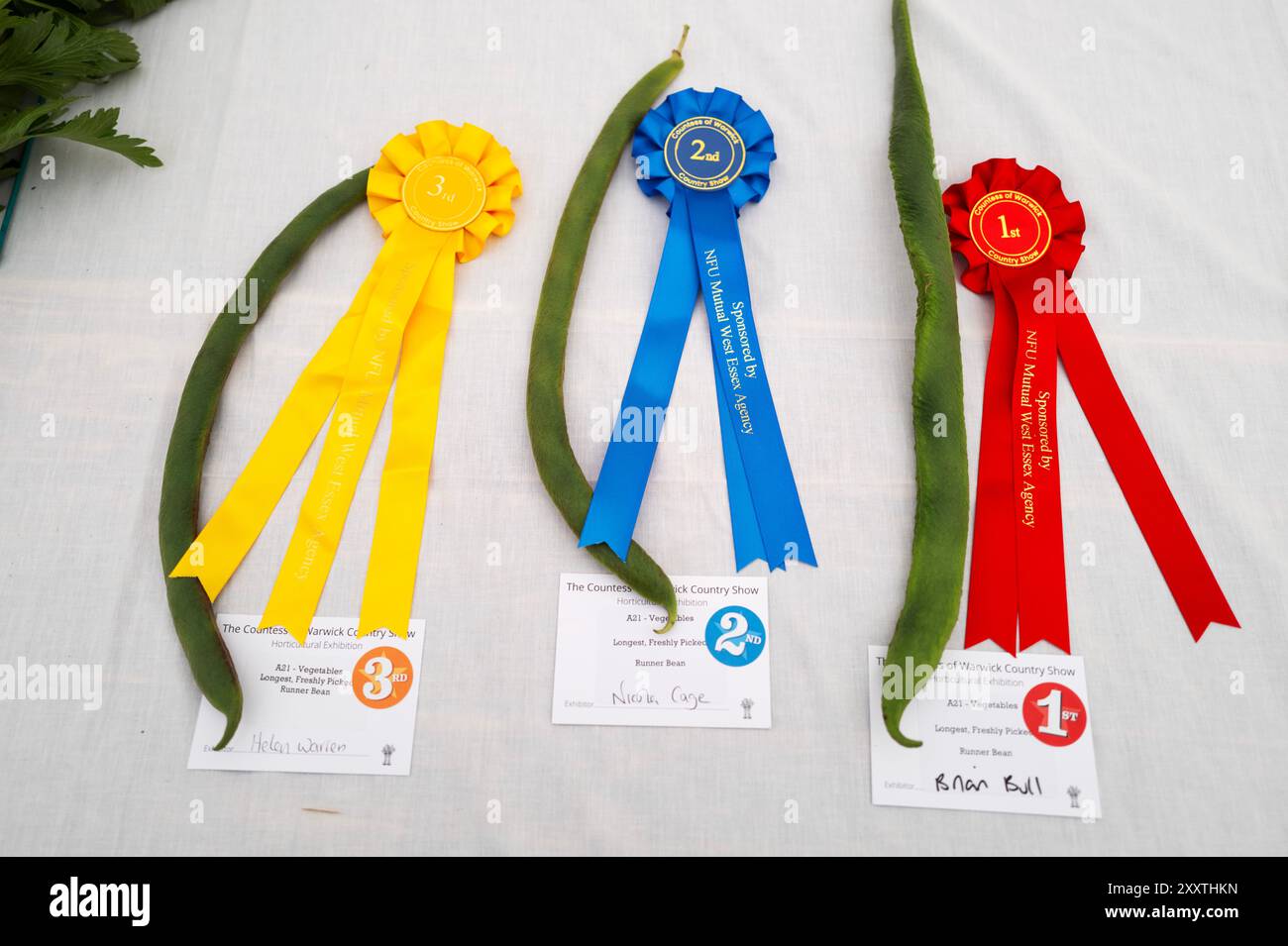 Countess of Warwick Country Show in Little Easton, Essex 26. August ...