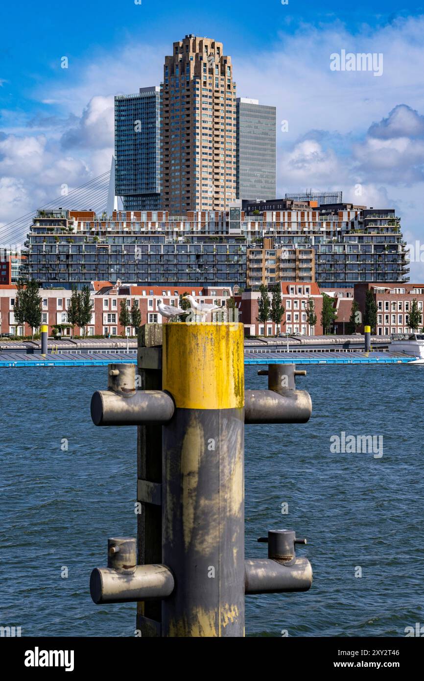 Hafenbecken des Maashaven, Binnenschifffahrtshafen, Anlegestellen ...