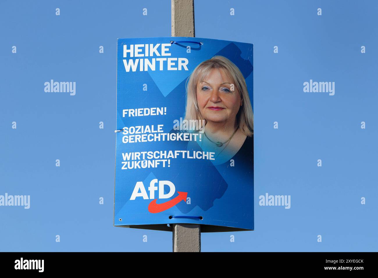 Ein Wahlplakat der Partei AfD mit einem Bild von Heike Winter haengt an ...