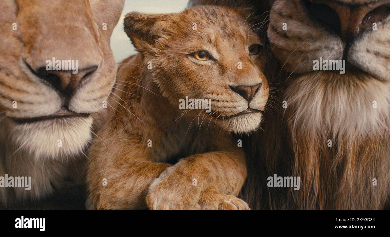 Mufasa the lion king -Fotos und -Bildmaterial in hoher Auflösung – Alamy