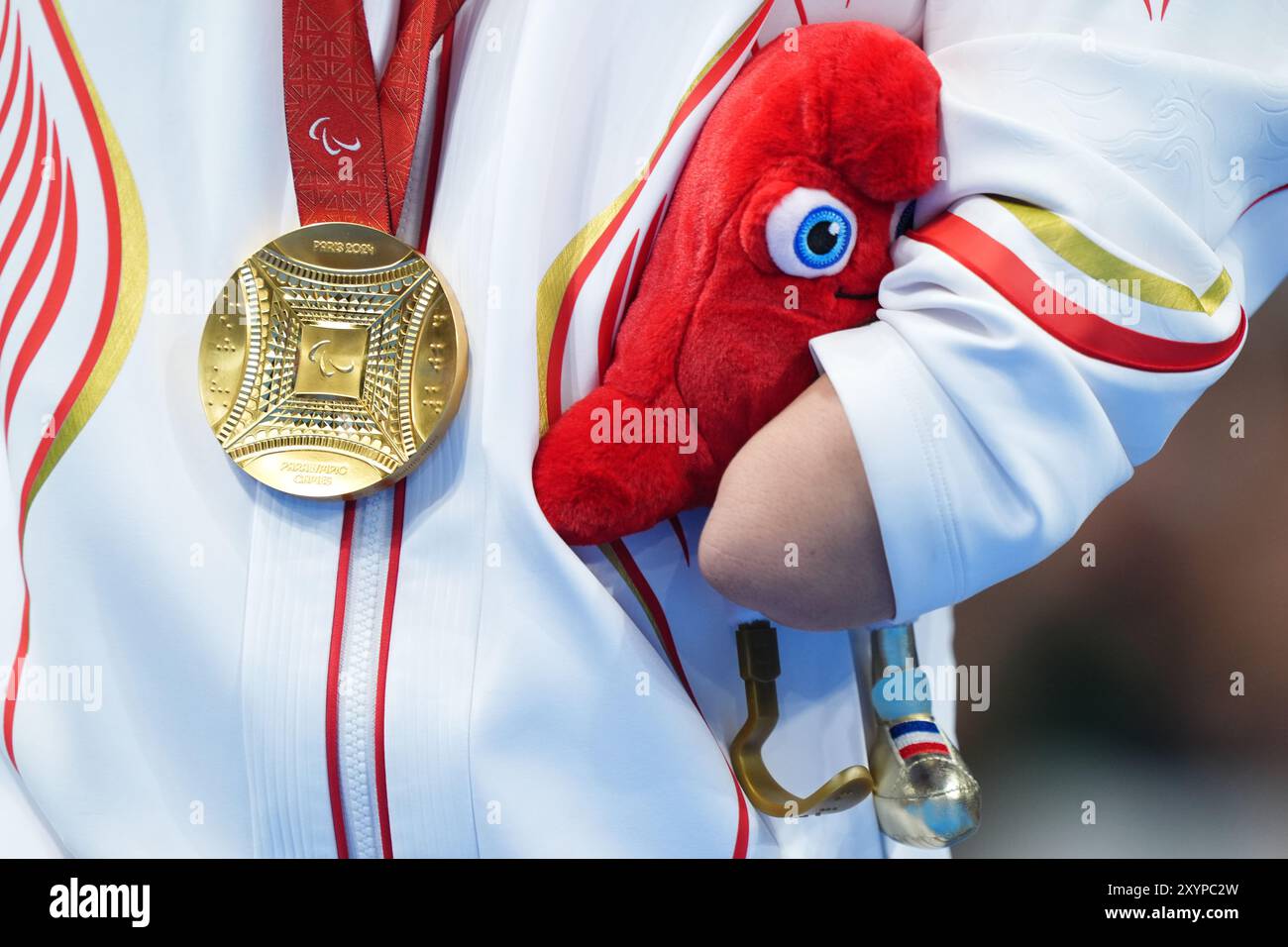 Eine detaillierte Ansicht des offiziellen Paralympischen Maskottchens ...