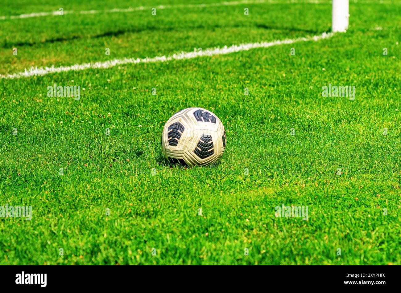 Schwarz weiß fußball auf gras -Fotos und -Bildmaterial in hoher ...