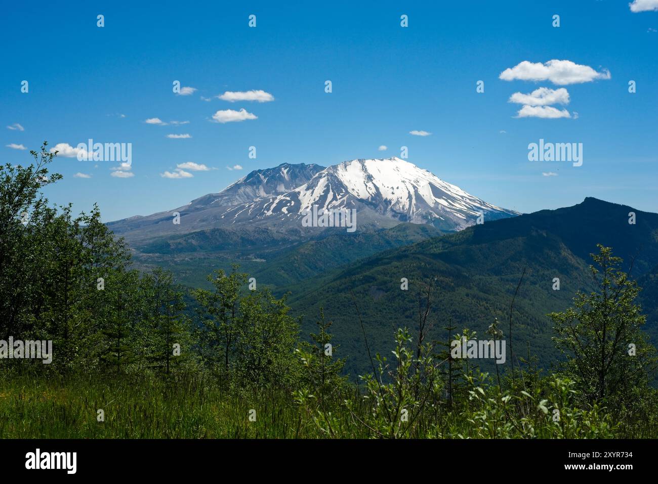 Ein klassischer Blick auf Mount St Helens vom Elk Rock Aussichtspunkt ...